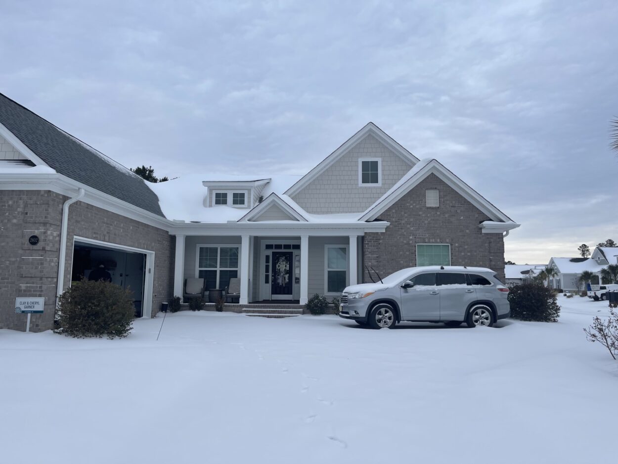 Snow Day! - Tuesday Tidbits